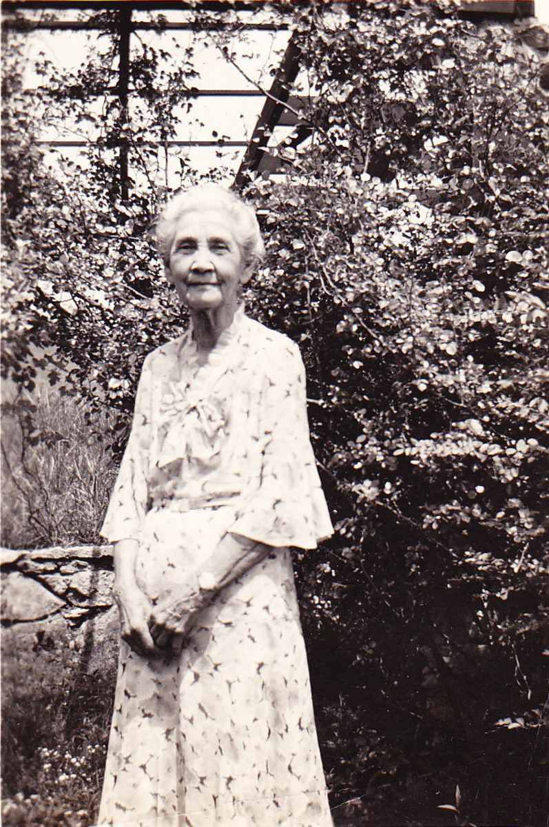 ESDA | Goodrich, Hiram Carleton (1849–1933) and Anna Elizabeth (Hafer ...