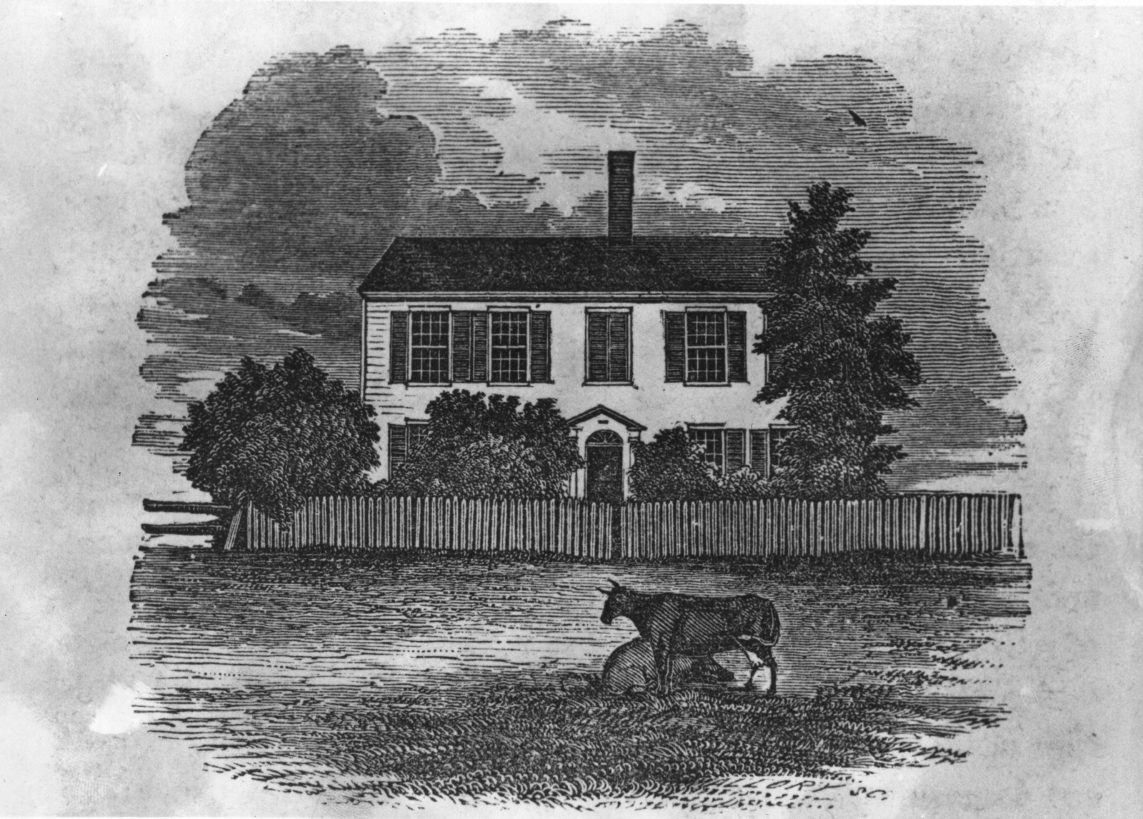 ESDA | Miller, William (1782–1849)