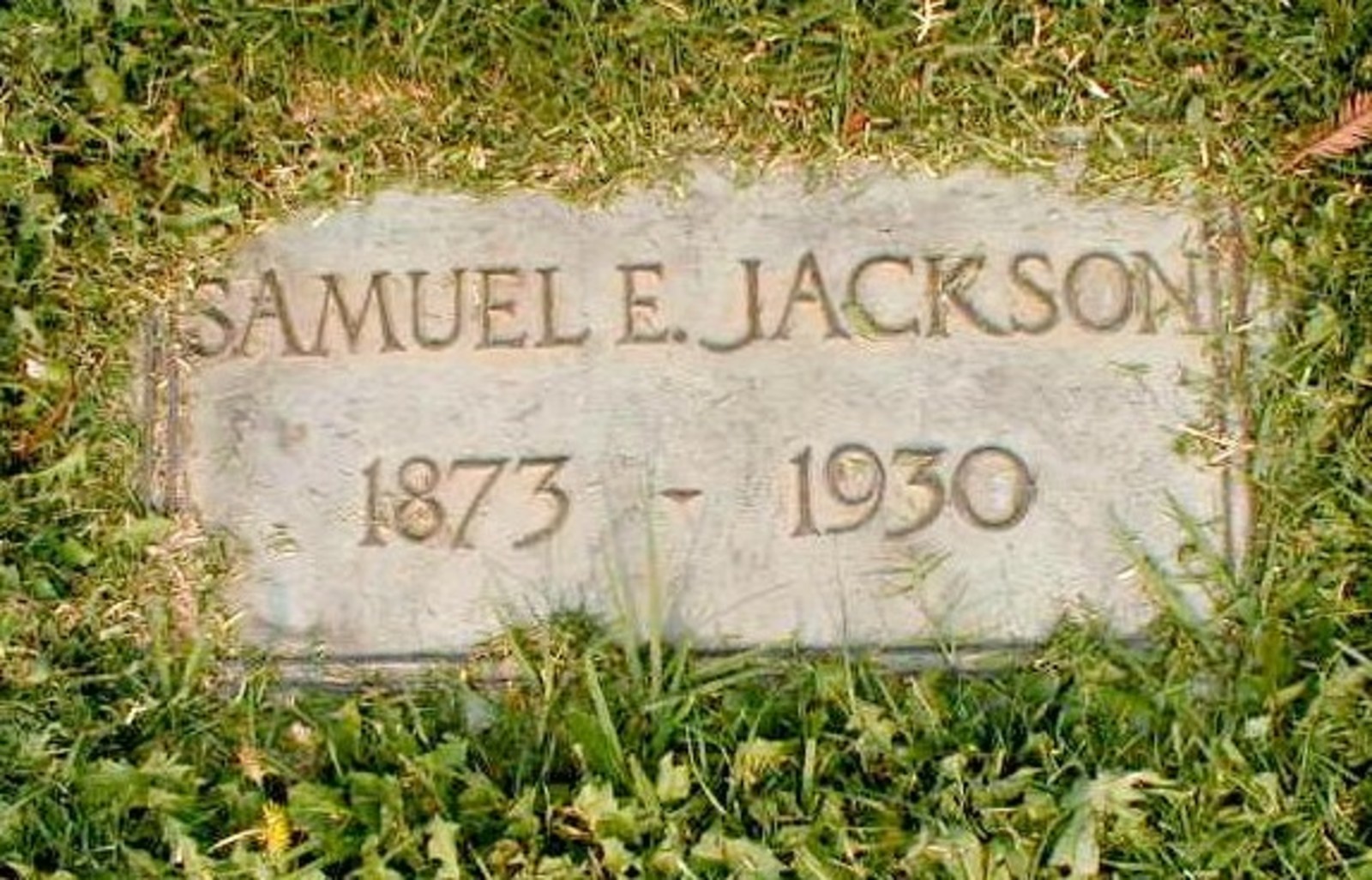 ESDA | Jackson, Samuel Ellis (1873–1930)